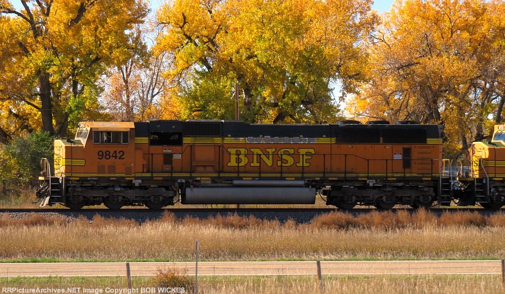 BNSF 9842